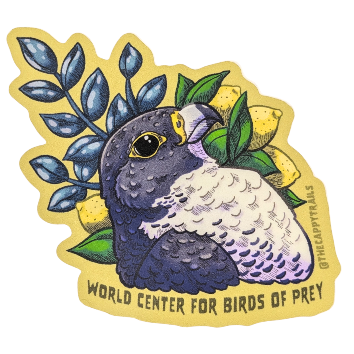 World Center for Birds of Prey Cappy Trails Stickers – The Peregrine Fund