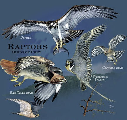 Raptor Collage Shirt - Adult Unisex – The Peregrine Fund