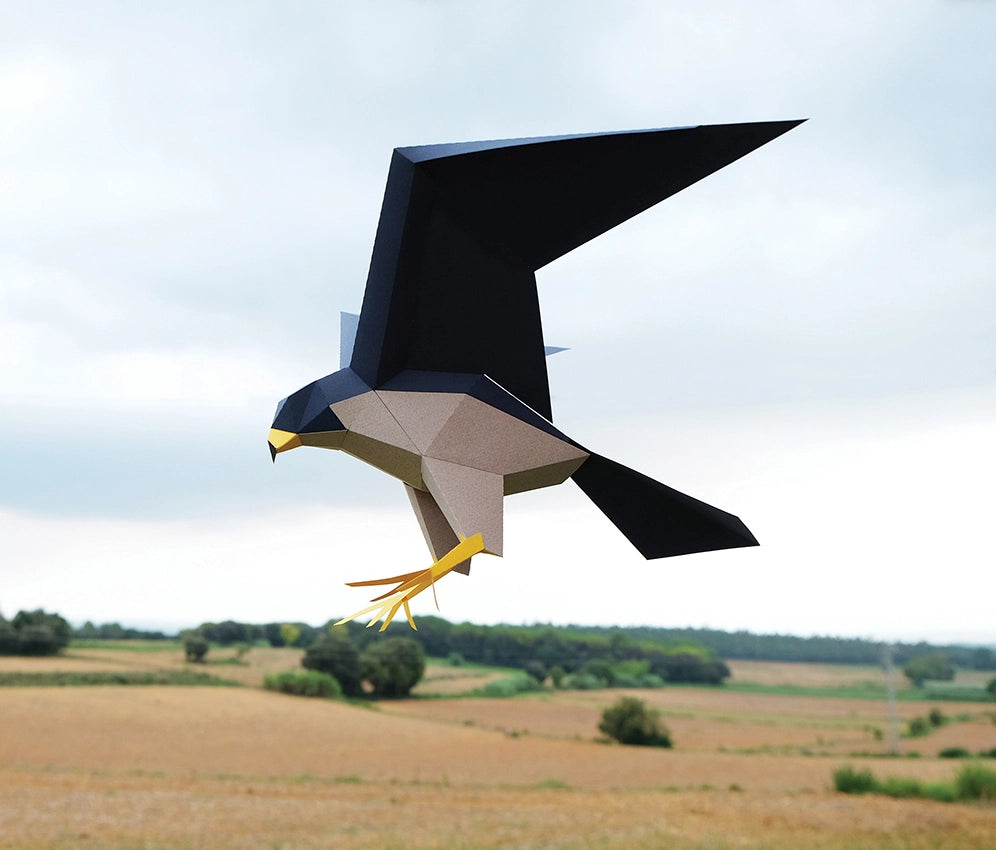 3D Paper Raptor – The Peregrine Fund